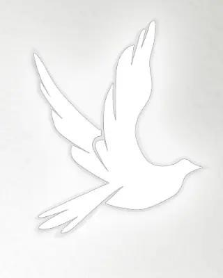 Mikell Ann Tronstad Obituary (2025) - Madison, SD - Ellsworth Funeral ...