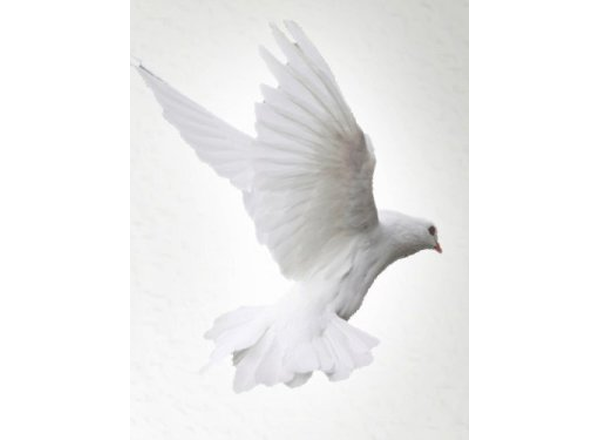 Ruby Henderson Obituary and Online Memorial (2026)