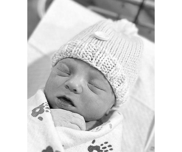 Colette Ann Deutsch Obituary (2025) - Taylorville, IL - Shafer–Perfetti ...