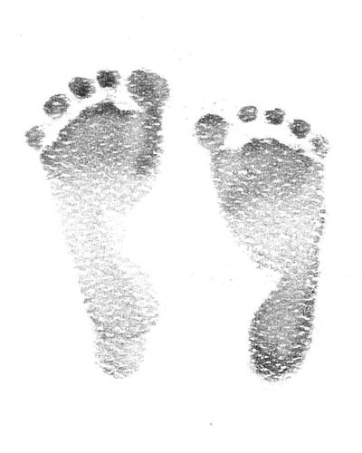 Maverick John Mackereth Obituary (2025) - Annandale, MN - Dingmann ...