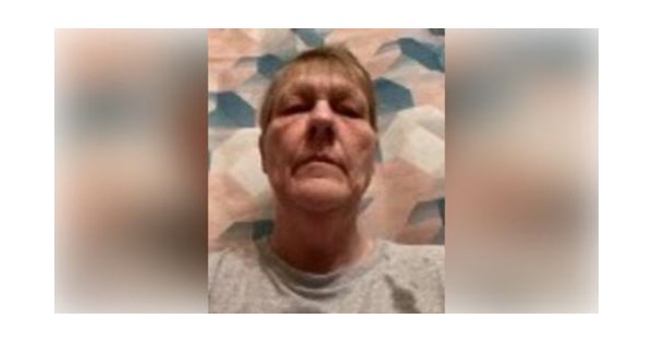 Lesa Marie McCrimmon Obituary (2023) - Sturgis, MI - Hackman Family ...