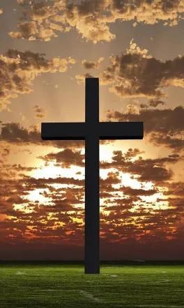 Carol J. Morrell Obituary (2025) - Watertown, MA - DeVito Funeral Home