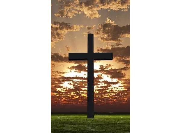 Carol J. Morrell Obituary (2025) - Watertown, MA - DeVito Funeral Home