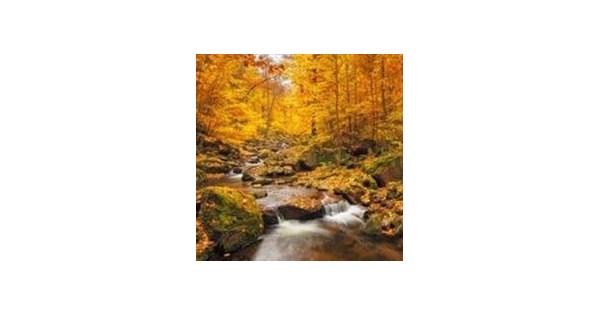 Kenneth S. Lowry Obituary (2026) - Lebanon, PA - Kreamer Funeral Home ...