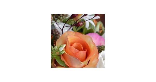 Anna Peralta Obituary (2024) - Roswell, NM - Anderson-Bethany Funeral ...