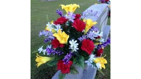 Cynthia Fay Lineaweaver Obituary (2026) - Wilmington, DE - Williams ...