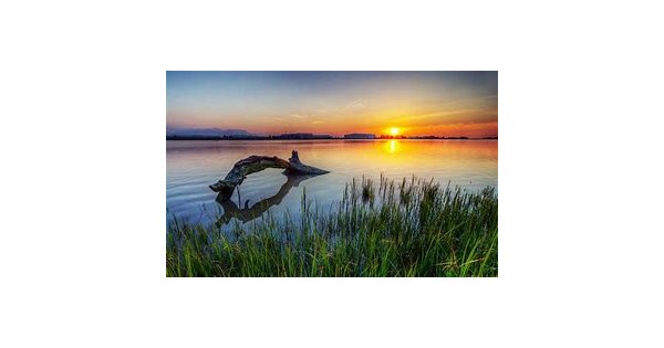 Michael Calvin McChesney Obituary (2023) - Kalispell, MT - Buffalo Hill ...