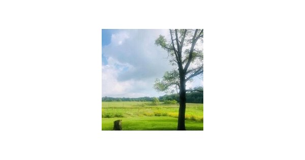 Frances F. Ward Obituary (2023) - Big Rapids, MI - Mohnke Janowicz ...