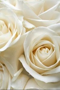 Patsy Leslie Obituary and Online Memorial (2026)