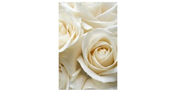 Patsy Leslie Obituary and Online Memorial (2026)