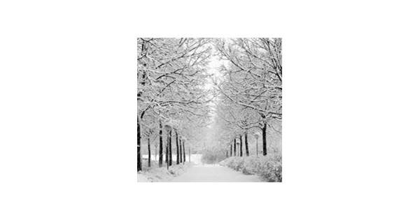 Michael R. Roitman Obituary (2025) - New Haven, MI - Jowett Funeral ...