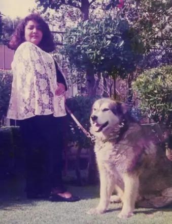 Maria De Los Angeles Licona Obituary (2025) - San Benito, TX - The ...