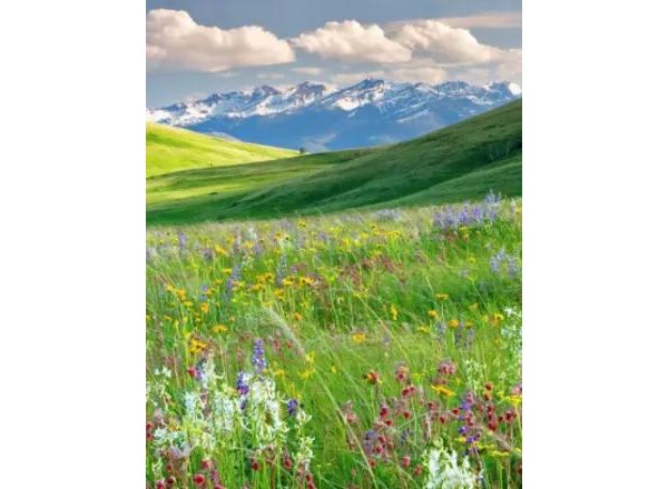 Eva Scott Obituary (1947 - 2025) - Ashland, OR - KDRV