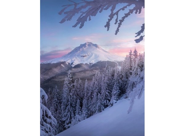 Barbara Jarvis Obituary (1943 - 2026) - Ashland, OR - KDRV