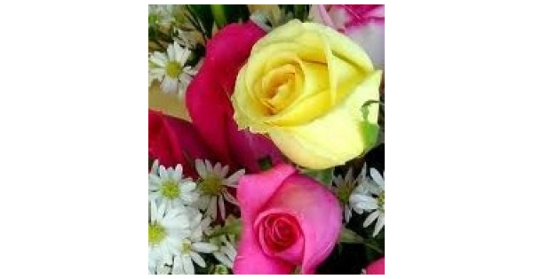 Evy Lou Loftis Obituary (2024) - Cookeville, TN - Crest Lawn Funeral ...