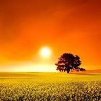Terry Tisdale Obituary (2025) - Bartlesville, OK - Stumpff Funeral Home ...