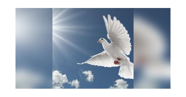 Timothy Winston Puckett Obituary (2022) - Gainesboro, TN - Anderson ...