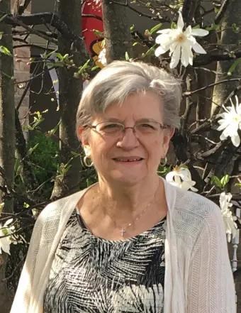 Suzanne Elizabeth "Sue" Schneider Obituary (2024) - Naperville, IL ...