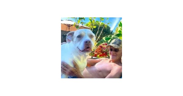 Michael John Jablonski Obituary (2025) - Maryville, IL - Barry Wilson ...