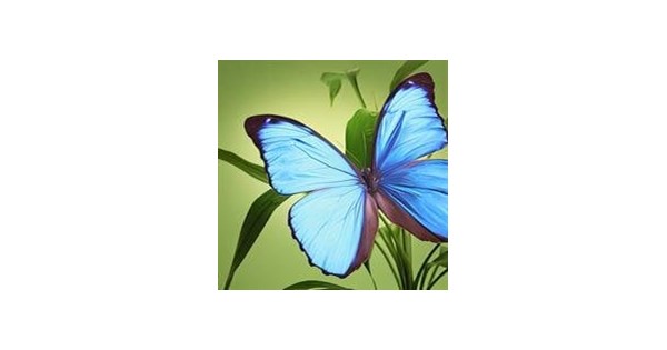Judith Lynn O'Rourke Obituary (2025) - Irwin, PA - William Snyder ...