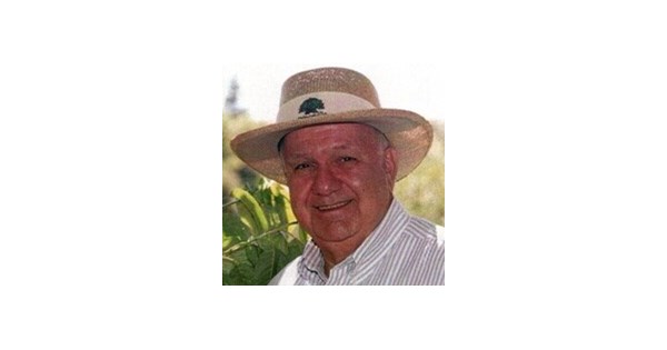 Ronald J. Davis Sr. Obituary (2024) - New Castle, PA - William F ...