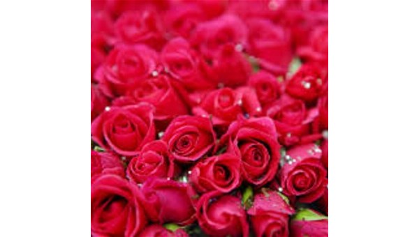 Mary Curry Dunbar Obituary (2026) - Indianapolis, IN - Cremation ...