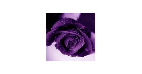 Lora Brooks Hobbs Obituary (2026) - Fayetteville, TN - Lynchburg ...