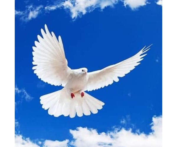 Philip Choate Obituary and Online Memorial (2026)