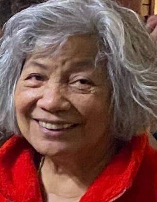 Virginia Medel Stern Obituary (2022) - Lillington, NC - O'Quinn-Peebles ...