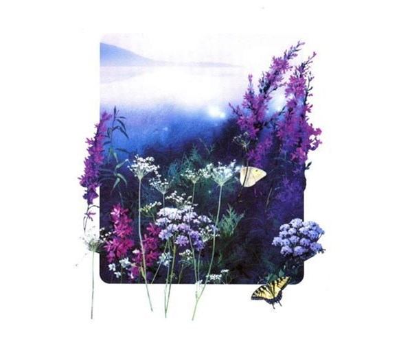 Linda Lee Liska Obituary (2025) - Murphy, NC - Townson-Rose Funeral ...
