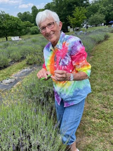 Kathryn Ann Coakley Obituary (2025) - Ellijay, GA - Bernhardt Funeral ...
