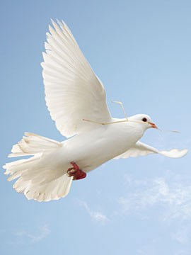 Daniel Bates Obituary and Online Memorial (2026)