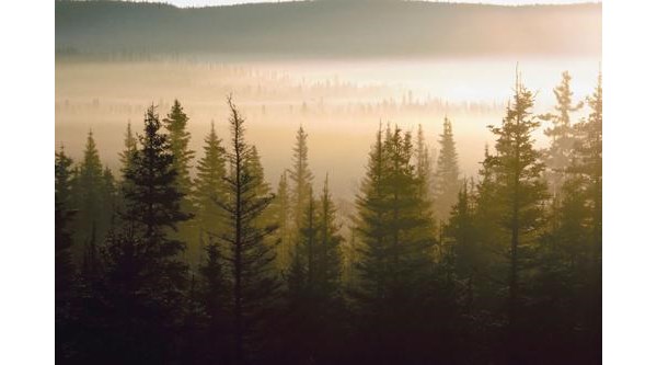 Death Notice and Obituary for Douglas Bruce Terry Jr. of Valdese , NC
