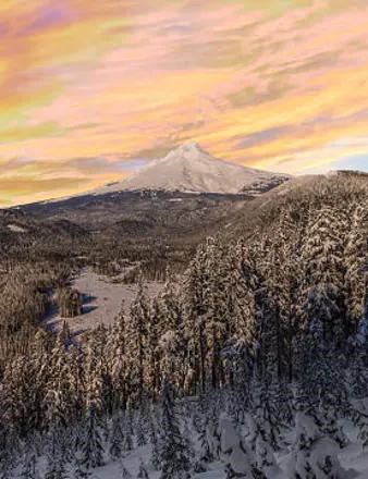Nancy Anderson Obituary (2025) - Ashland, OR - Litwiller-Simonsen ...