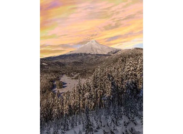 Nancy Anderson Obituary (2025) - Ashland, OR - Litwiller-Simonsen ...