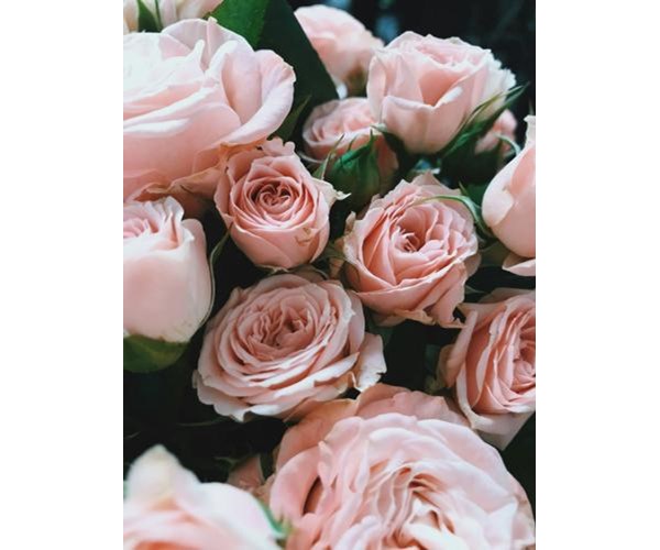 Linda Kay Lawley Obituary (1951 - 2025) - Lodi, CA - Stocktonia