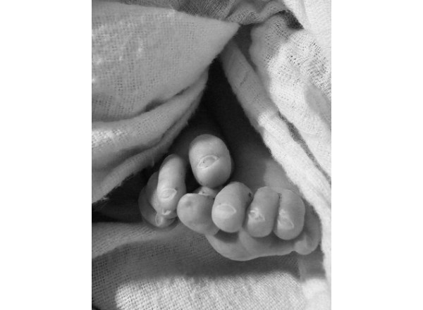 Adaline James Proudfoot Obituary (2026 - 2026) - Owosso, MI - MLive.com