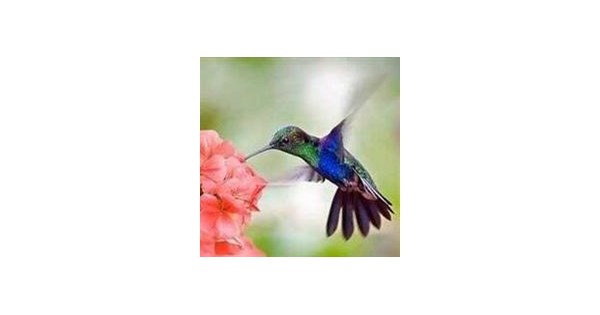 Rhonda Joyce Wilson Obituary (2025) - Hartselle, AL - Peck Funeral Home ...