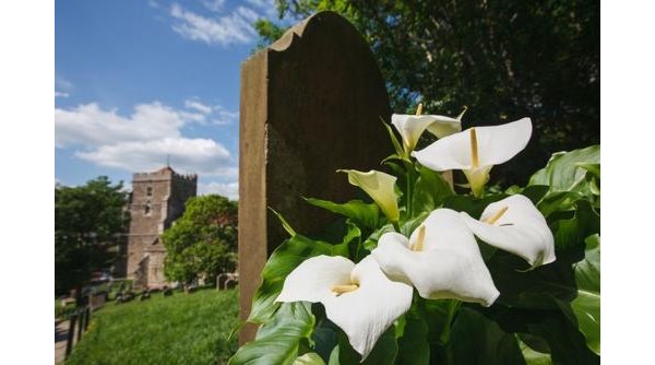 Jake R. Zdanowicz Obituary (2025) - Wilkes-Barre, PA - Jendrzejewski ...