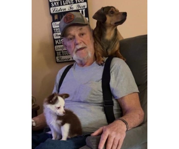 Daniel Allen Hoffman Obituary (1955 - 2025) - Terre Haute, IN - WTHI-TV ...