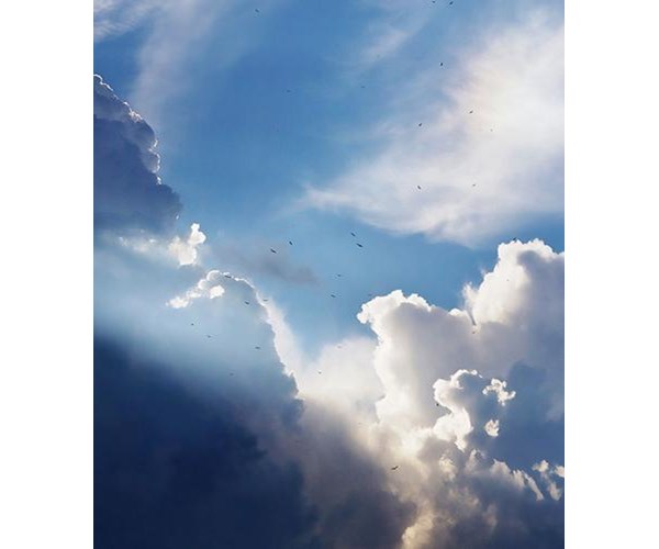 Patrick Spann Obituary (1957 - 2026) - Clarksville, TN - Clarksville Now