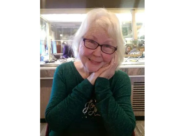 Shirley H. Cushing Obituary (2025) - Tecumseh, MI - Purse & Son Funeral ...