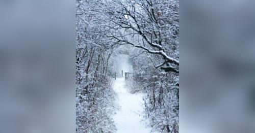 John J. Killoran Obituary (2023) - Deer Park, NY - Mangano Family ...