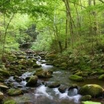 Myron Skorupa Jr. Obituary (2026) - Port Huron, MI - Jowett Funeral ...