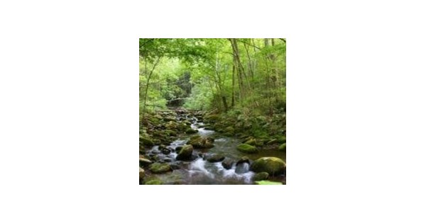 Myron Skorupa Jr. Obituary (2026) - Port Huron, MI - Jowett Funeral ...