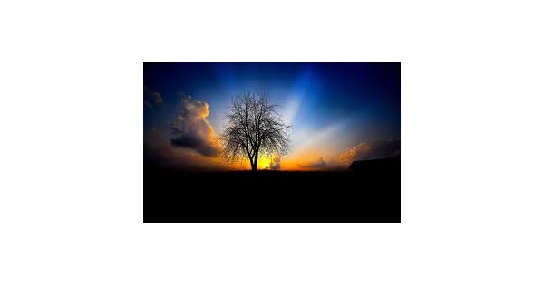 Sara Schilling Obituary (2024) - Indianapolis, IN - Cremation Society ...