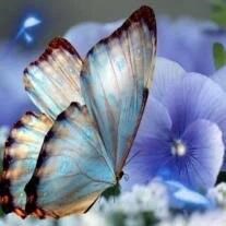 Sandi Marie Delk Obituary (2026) - Lynnville, TN - Lynchburg Funeral Home