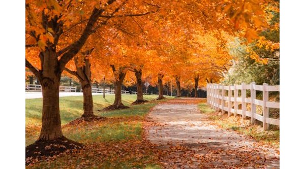 Reginald E. Lomba Obituary (2024) - Fountain Inn, SC - Cannon-Byrd ...