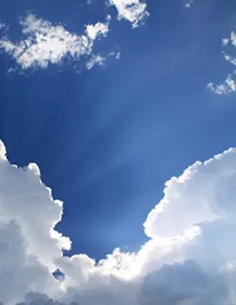 Ronald Miller Obituary and Online Memorial (2024)