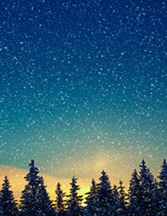 Daryl Miller Obituary (2026)